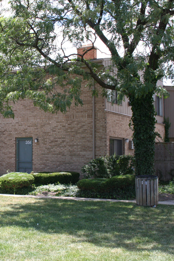 amber's Timber Lodges Pictures